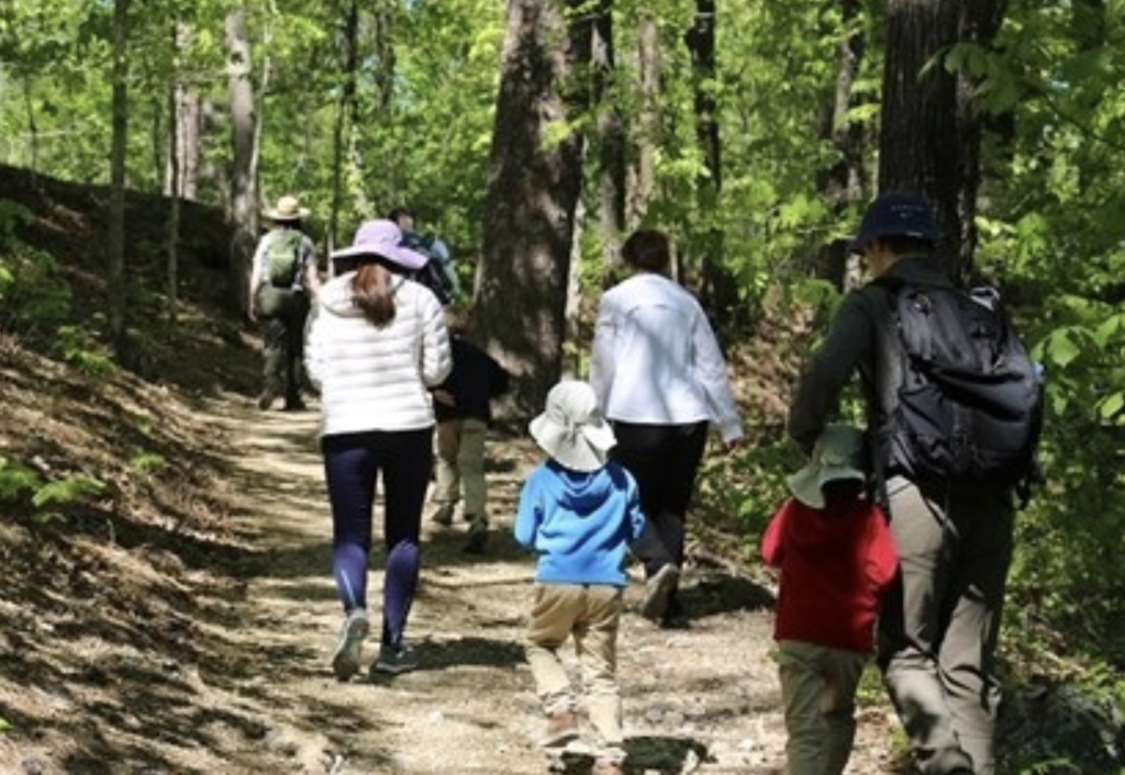Long Lake Resort – Family Resort Guide