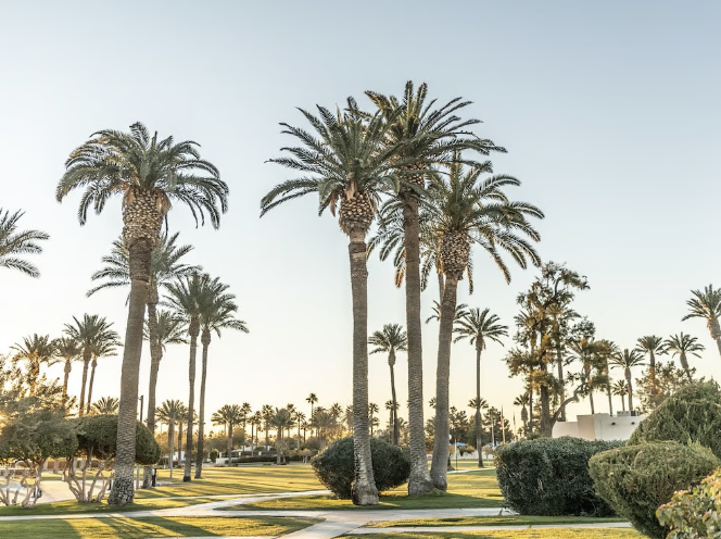 The Wigwam – Family Resort Guide